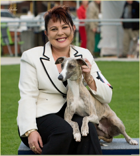 Rayne whippet – Taejaan